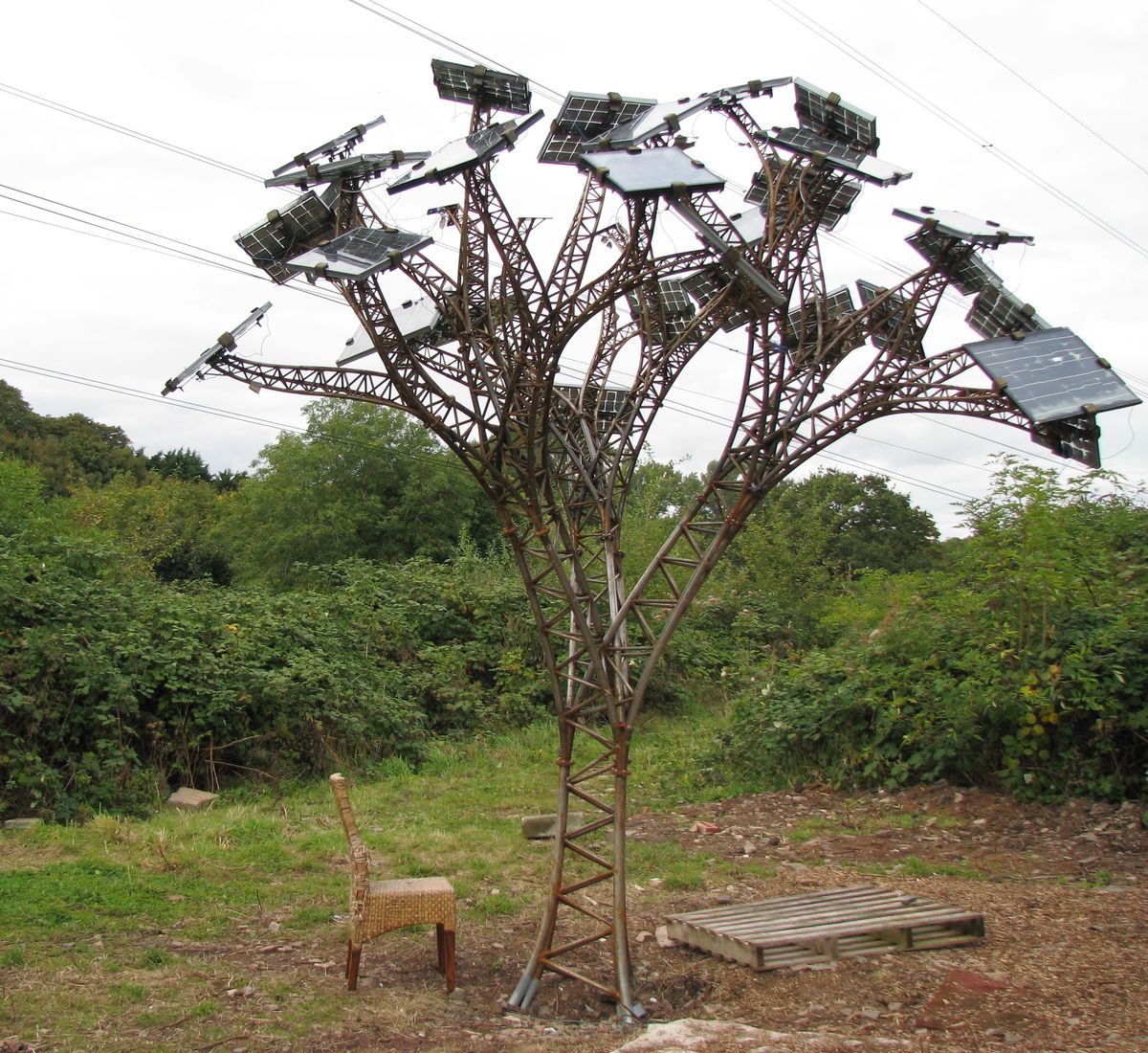 Stockwood Pete: Solar Tree Splendour