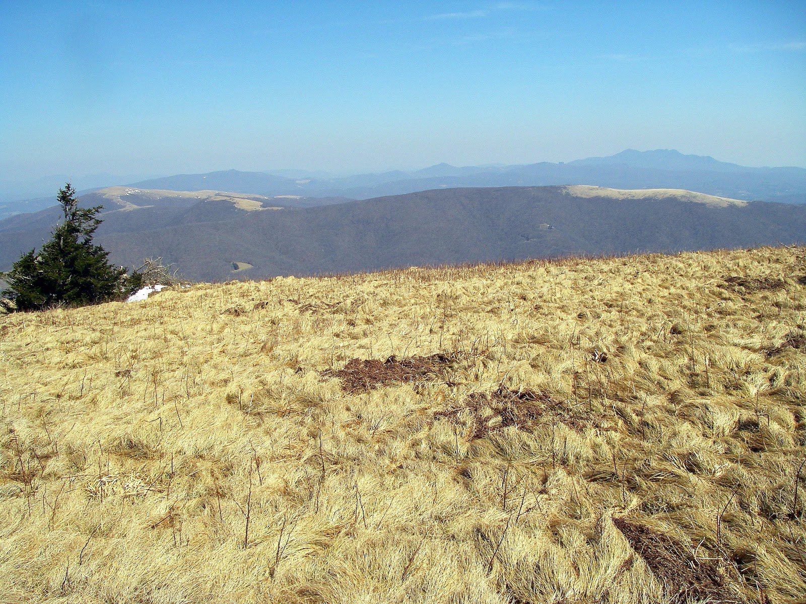 Peaks & Paths: Grassy Ridge and the Roan Highlands - Fellwalking ...