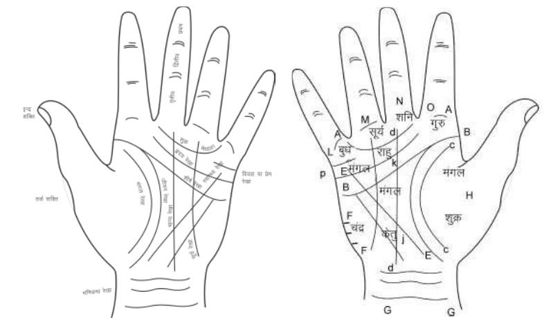 हाथ में भाग्य रेखा का नहीं होना | Hath Mein Shani Rekha Ya Bhagya Rekha ...