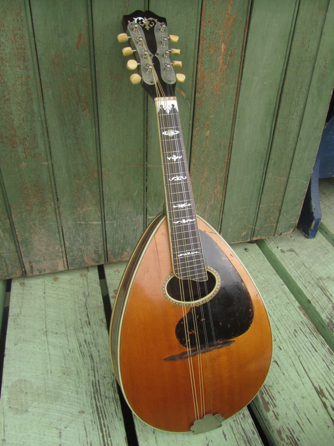 c.1915 Weymann Style 50 Mandolute Mandolin