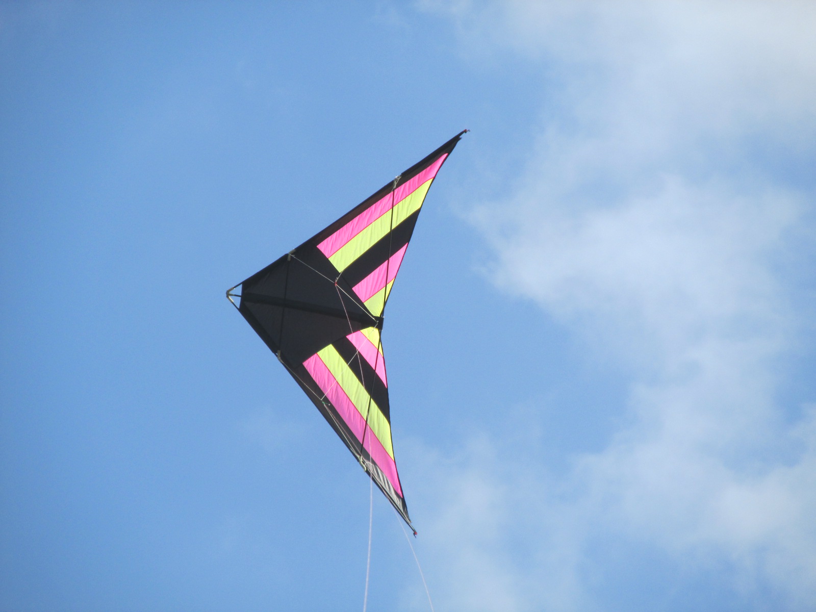 Peter Powell kites collection: Wing