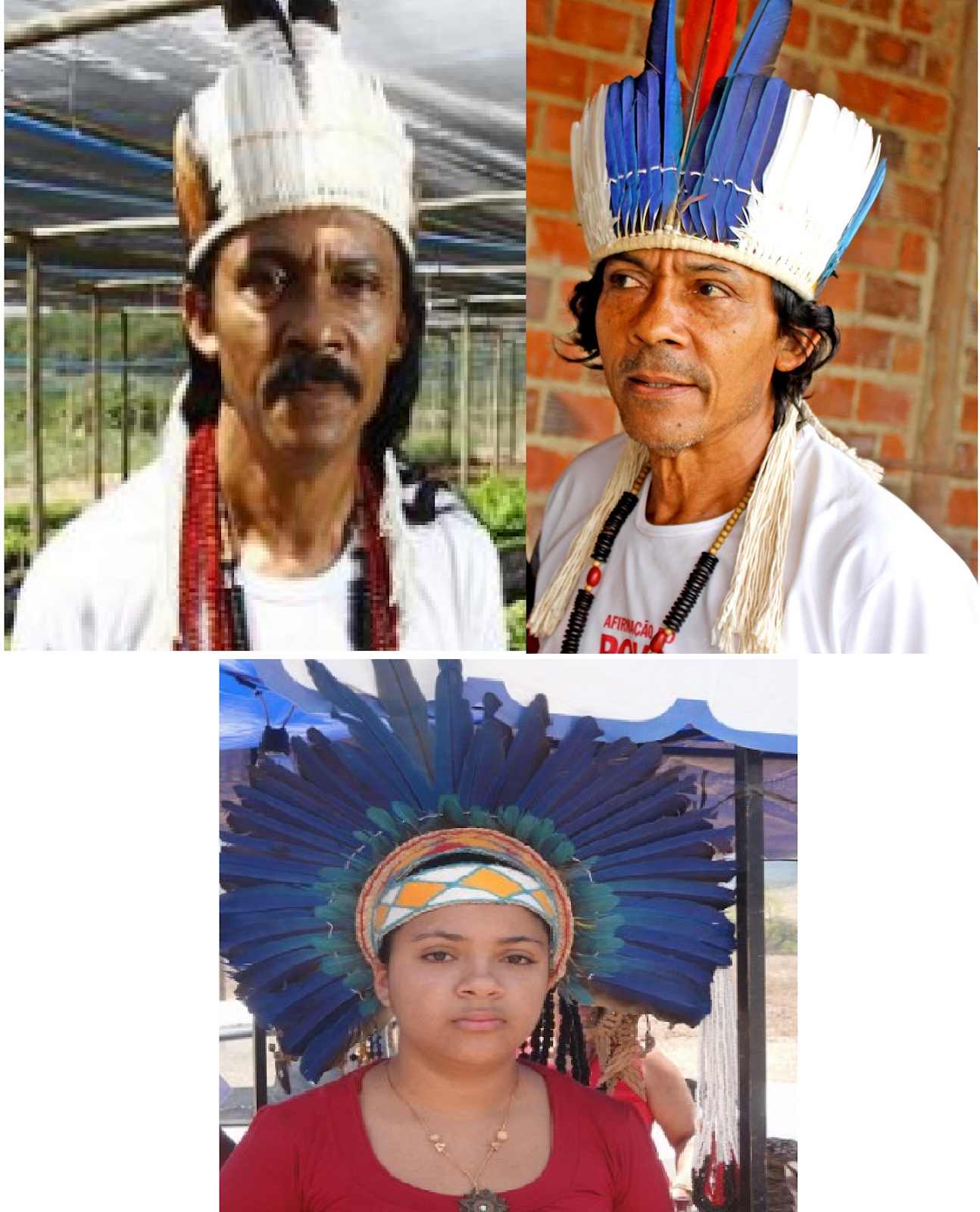 Índios Payayás: a Civilização Milenar do Recôncavo Baiano à Chapada ...