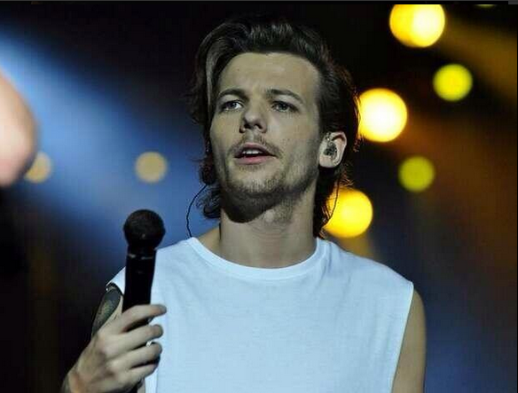 One Direction Girls ♥: Concierto en Lima, Perú.-Where We Are Tour (27 ...