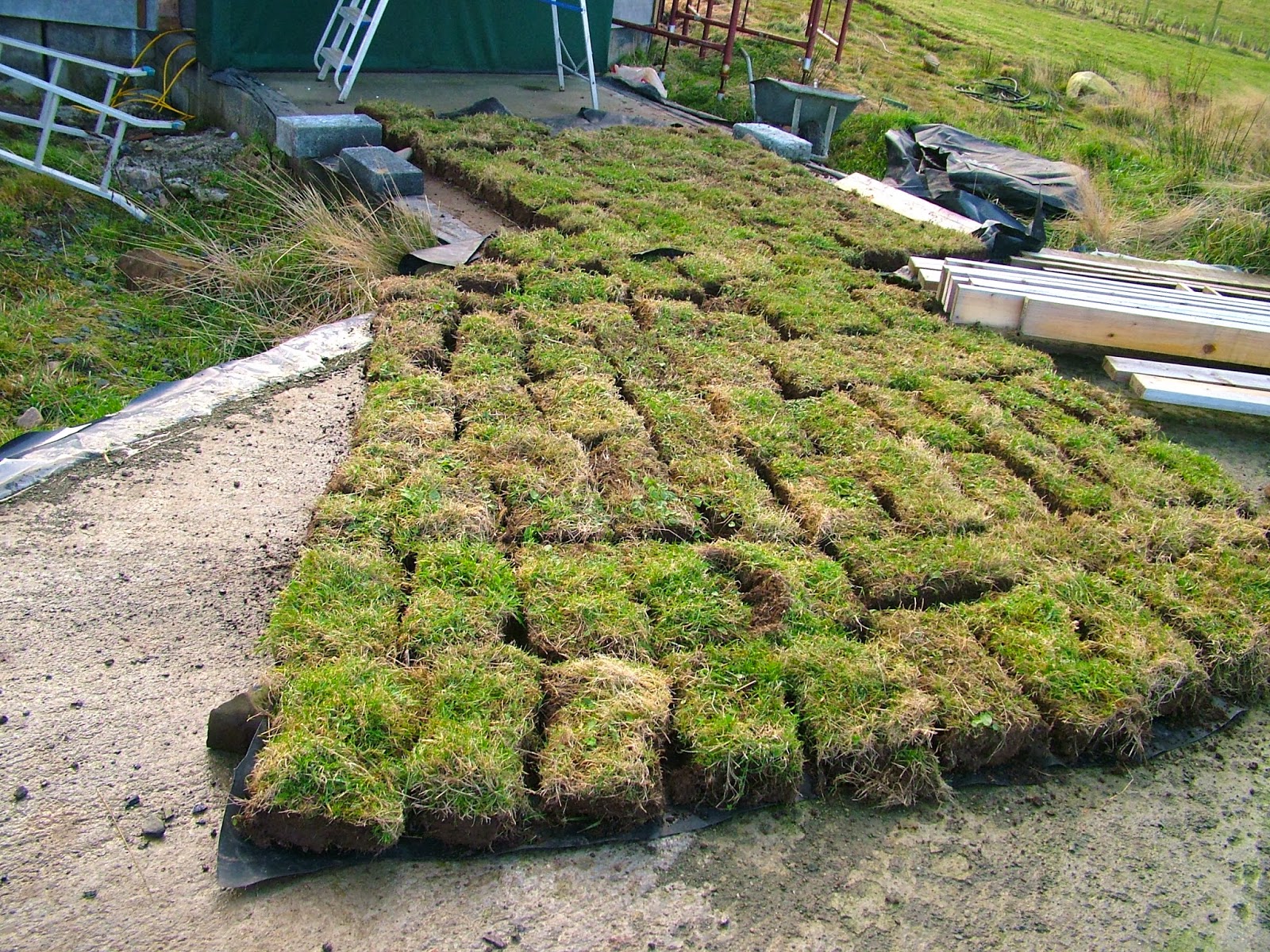 Ardailly Ecoroundhouses: More photographs of the turf roof