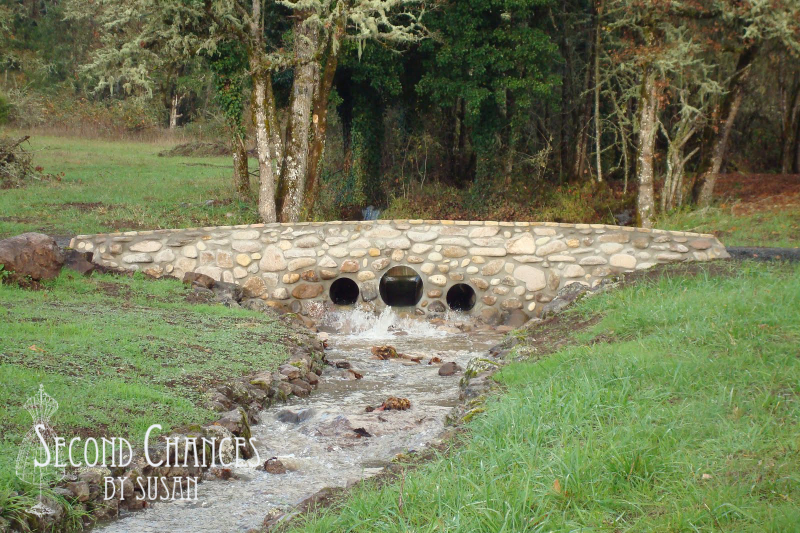 Second Chances by Susan: Building a Bridge!