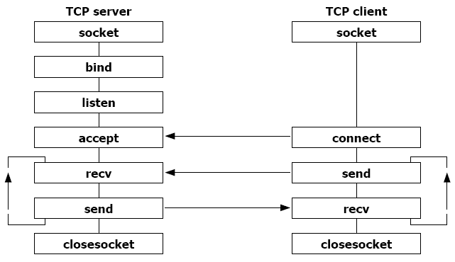Information Technology Transfer Control Protocol Tcp Socket Programming