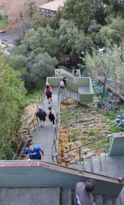 wandering in the light: Late afternoon light from Jacob's ladder