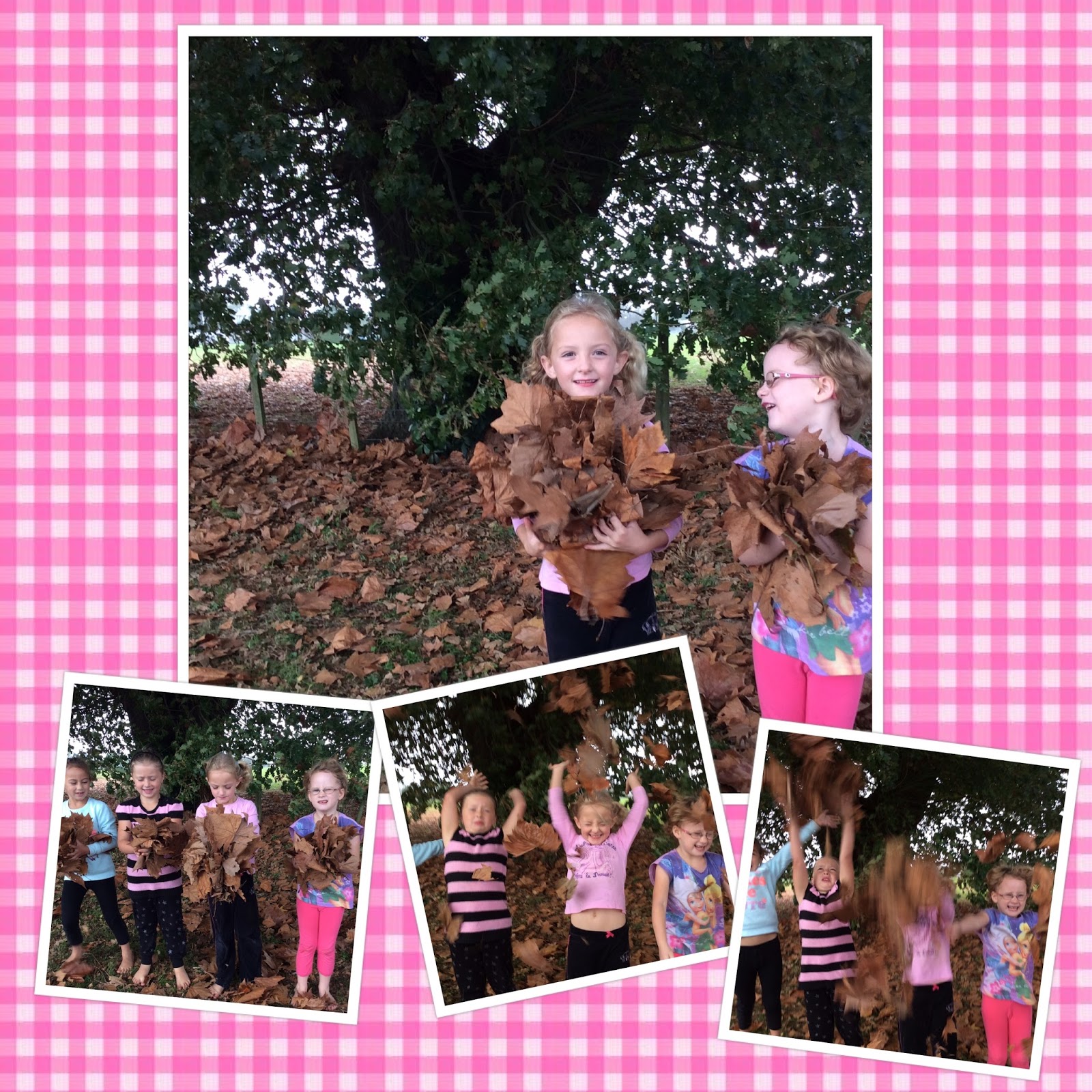 Room 3 Firth Primary School: Collage