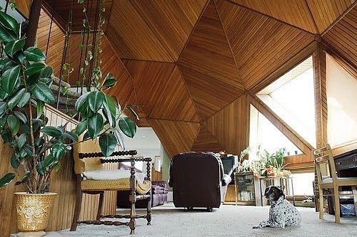 Moon to Moon: Geodesic Domes.....