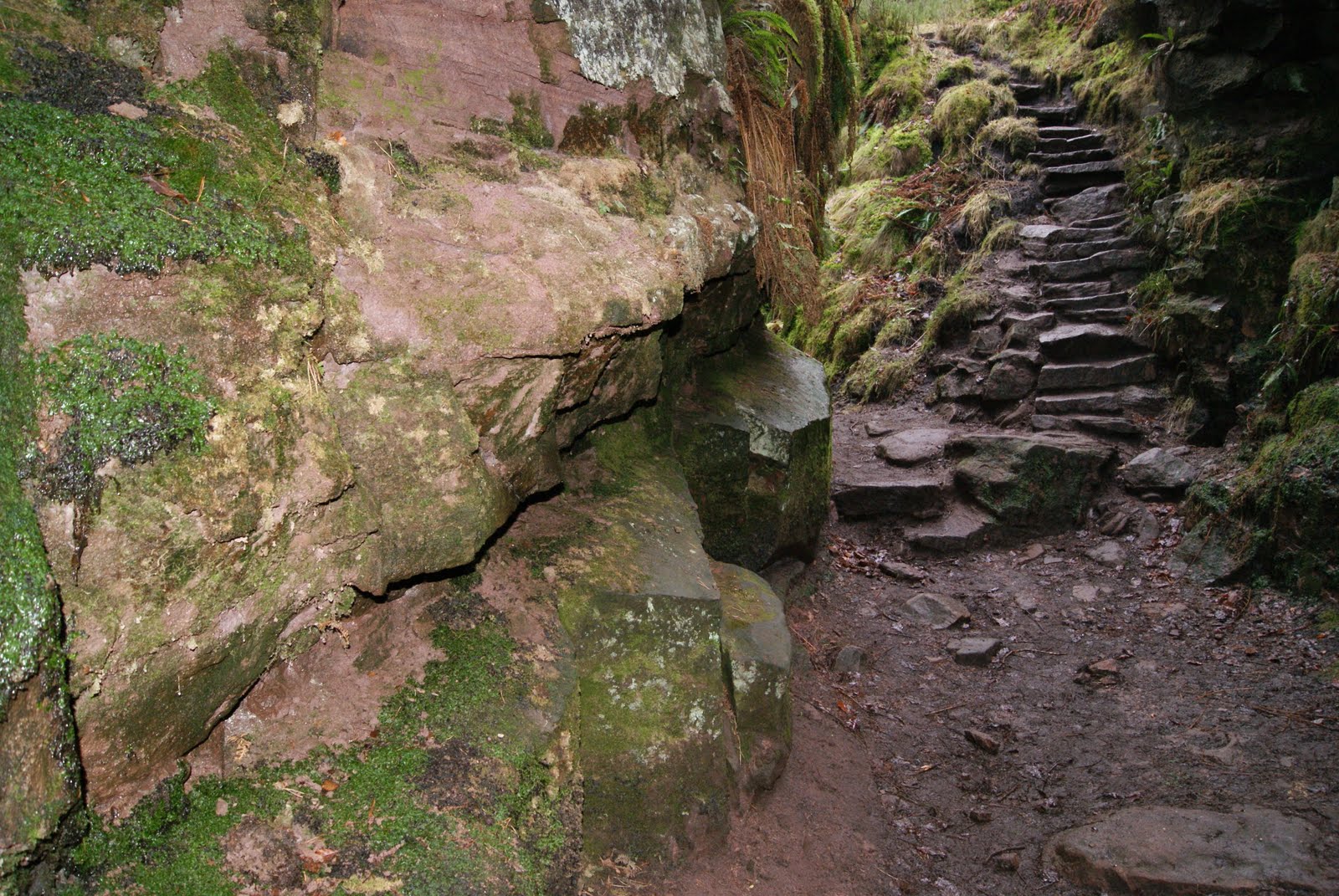 Meanderings of the Muse: KUBLA KHAN