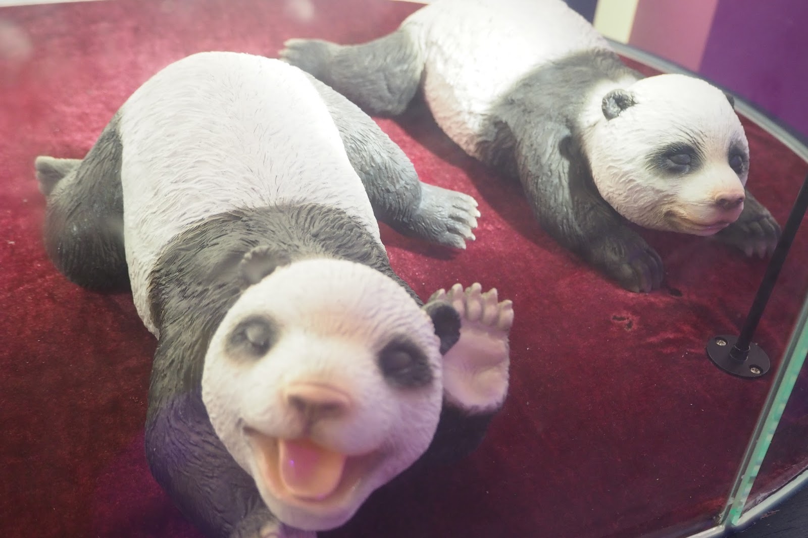 Kee Hua Chee Live!: AMBER CHIA BRINGS HER PARENTS CHIA HUN POY AND CHUA ...