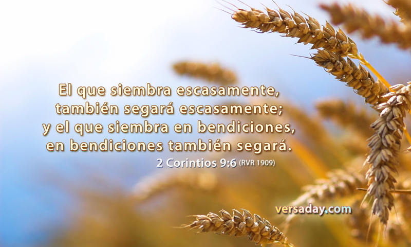 Aprendiendo la Sana Doctrina: TRABAJEMOS EN LA VIÑA DEL SEÑOR Aprendiendo la Sana Doctrina: TRABAJEMOS EN LA VIÑA DEL SEÑOR