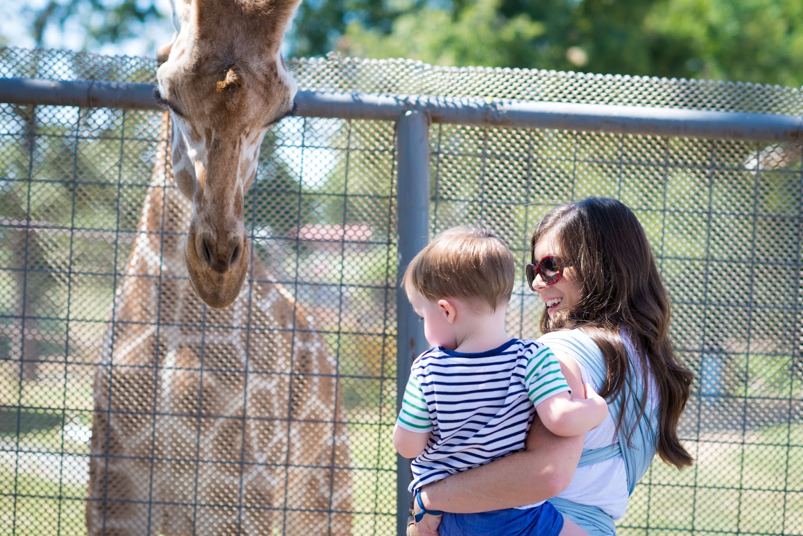 KARA'S STORIES: Gentry Zoo