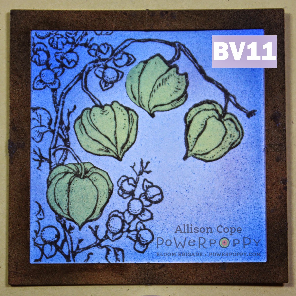 Power Poppy - The Blog: Oh Starry Night!