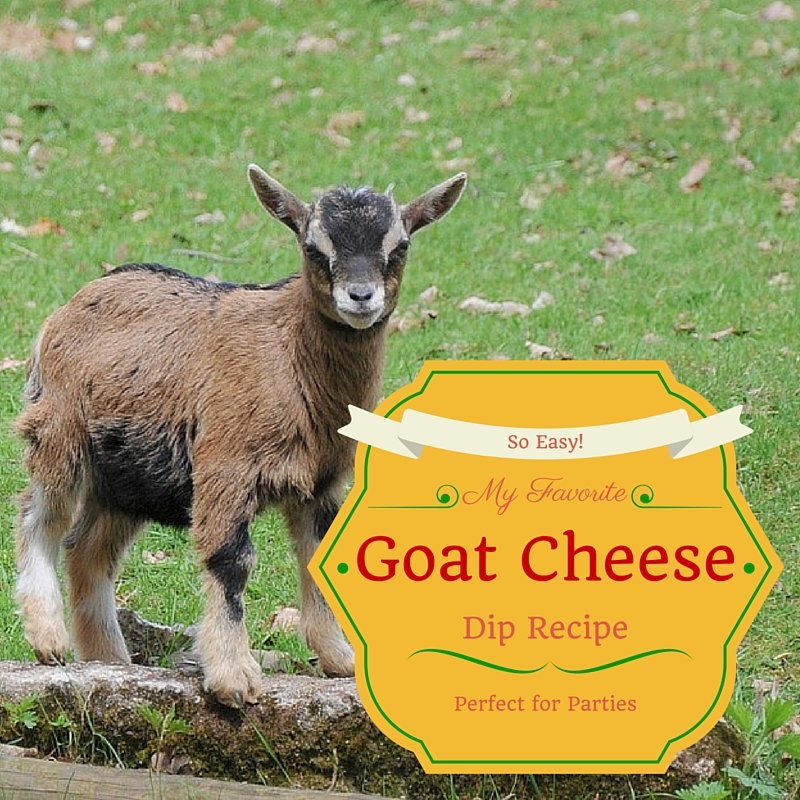 Goat Cheese Dip Recipe - Great for Parties, Sandwiches, & Salads