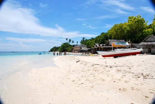 Pilgrim Paws: Moalboal, Cebu The Philippines
