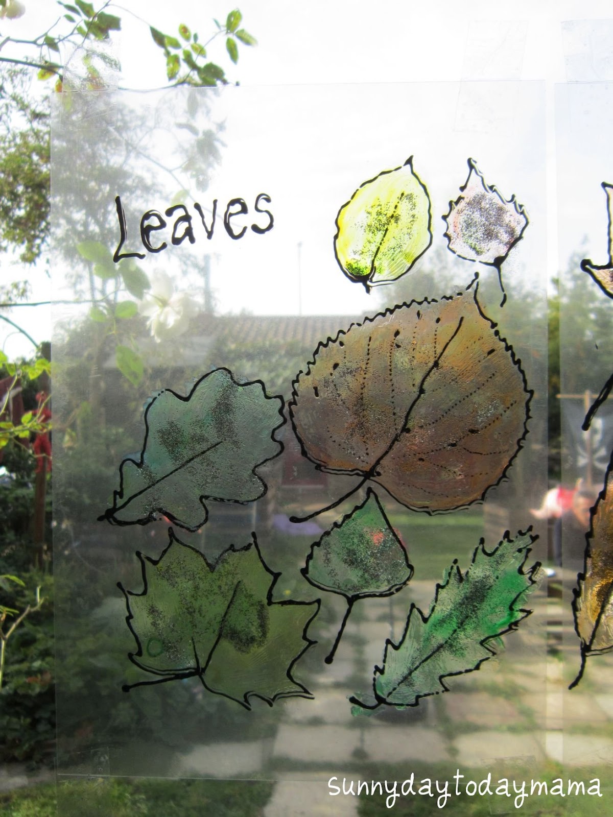 sunnydaytodaymama: Autumn leaves window display
