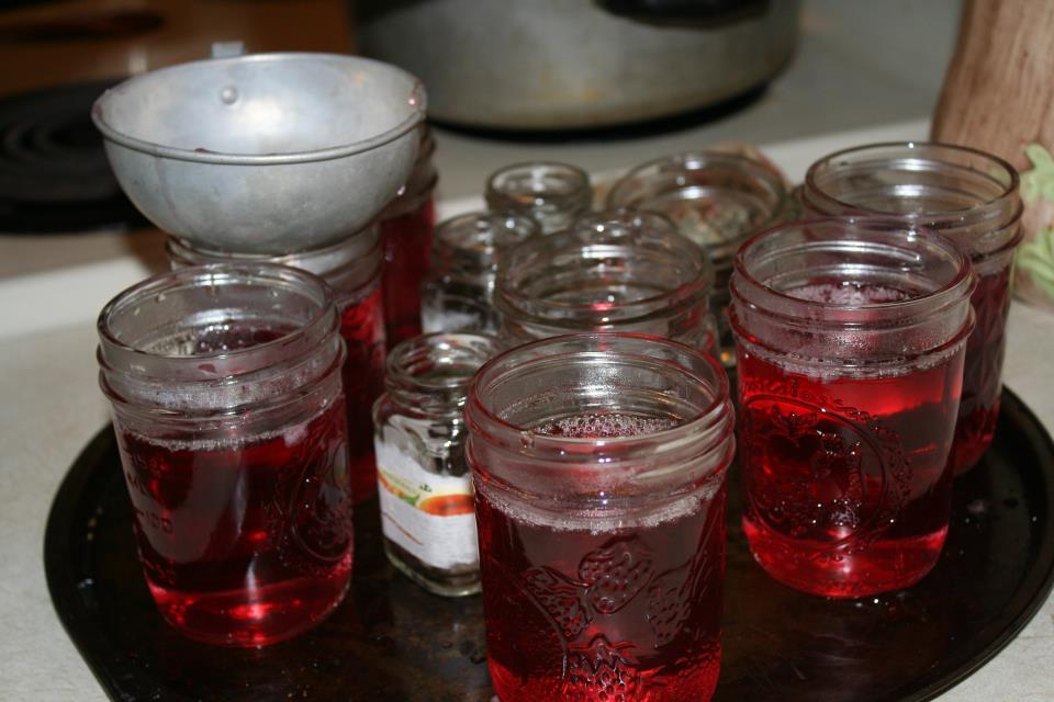 Mr. Johnson's Redbud Jelly