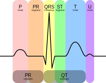 L'électrocardiogramme (ECG) | Récap' IDE