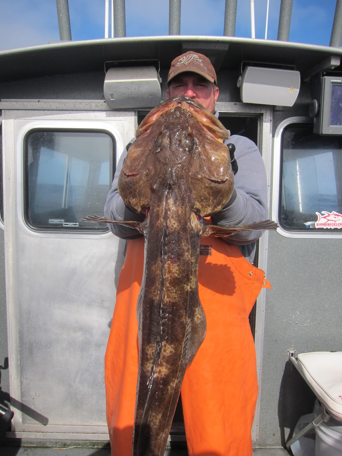 Todds Extreme Fishing: Neah bay halibut, lingcod, & bottom fish