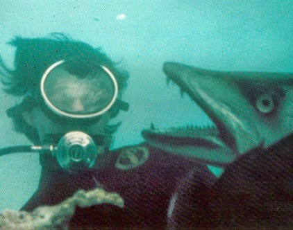 The Girl Who Loves Horror: Movie Review: Barracuda (1978)