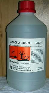 Penetapan Kadar Amoniak ~ REGA ANALIS