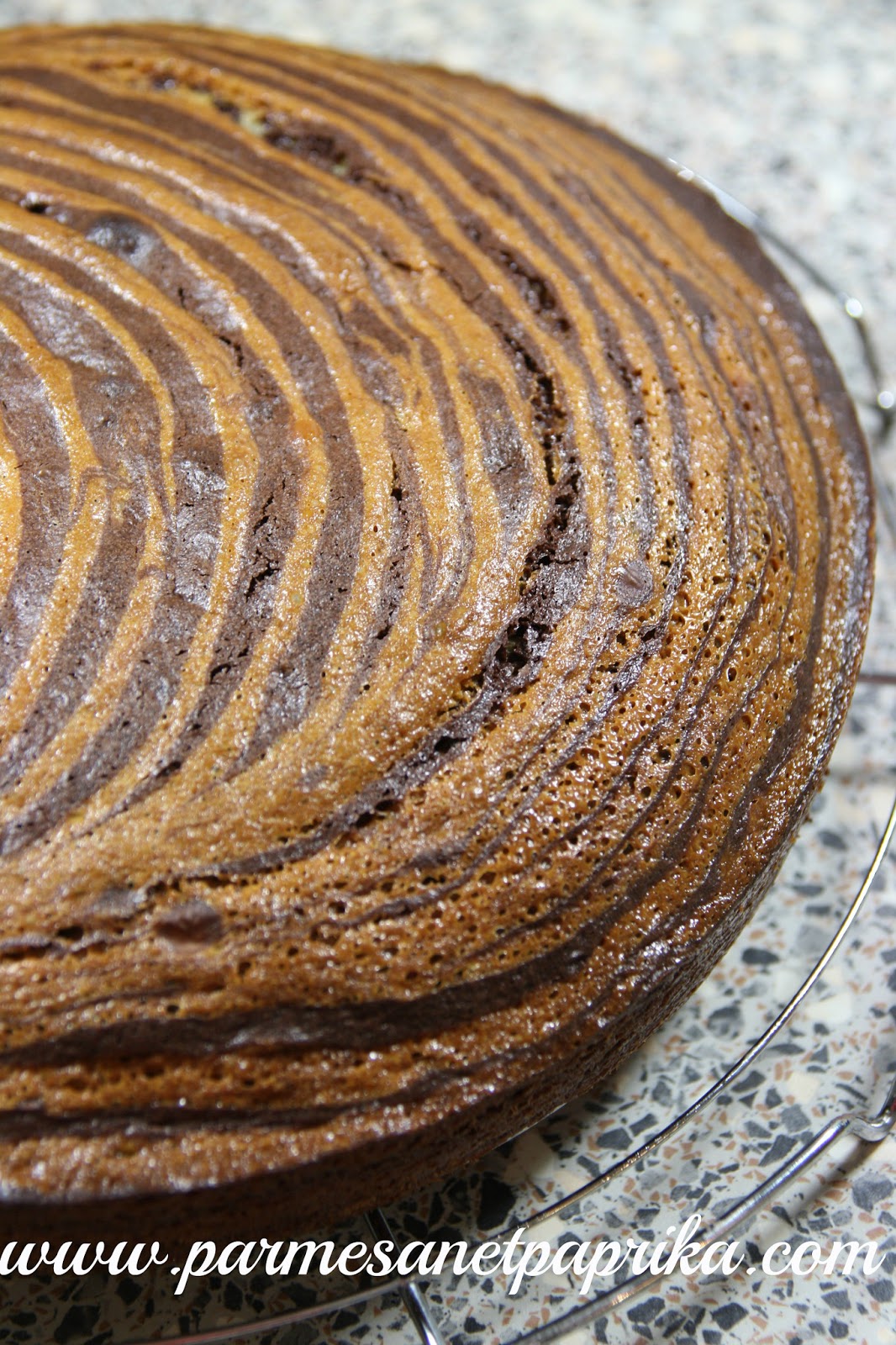 Parmesan et Paprika: Cake Zèbré et bientôt un concours