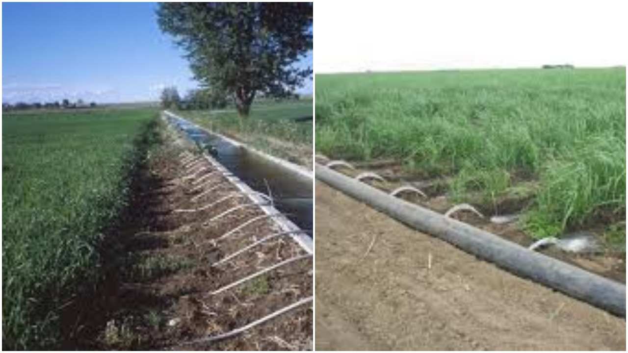 Farm Naija Blog: Small Scale Farmers should Adopt Modern Irrigation ...