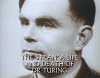 The Universal Machine: The Strange Life and Death of Dr Turing ...
