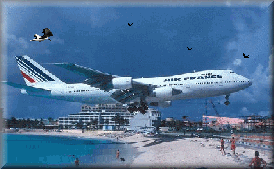 GIFS ANIMADOS: GIF ANIMADO DE AVIONES