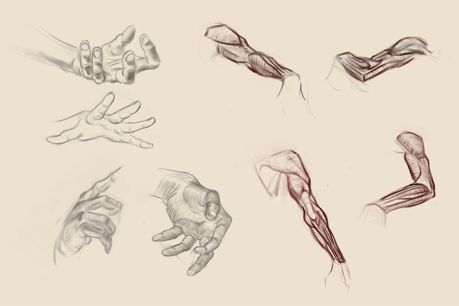 Rom-ko's sketchbook: Hands and arms