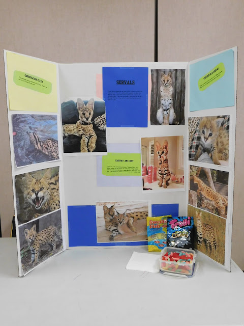 Attending Our Science Fair