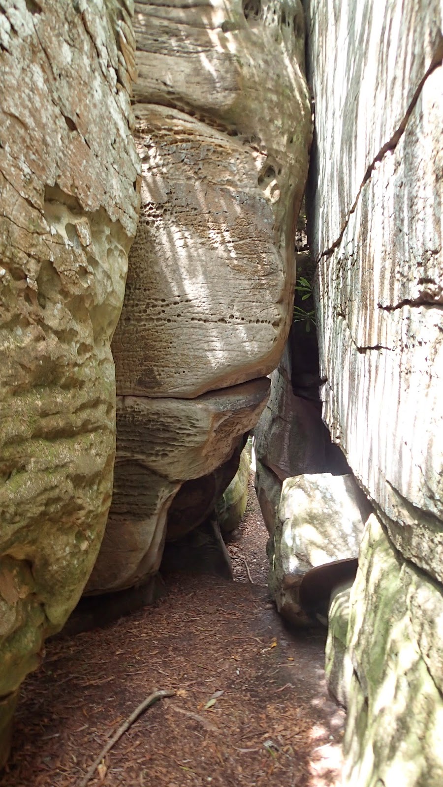 Ramblin': The Great Channels of Virginia