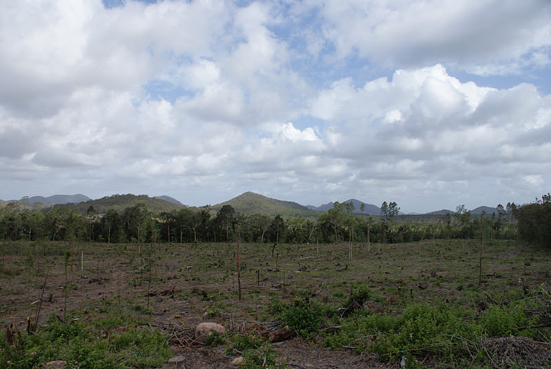 Nele & Andrew Around Oz: Red Rock Campsite, Byfield State Forest, QLDScnery