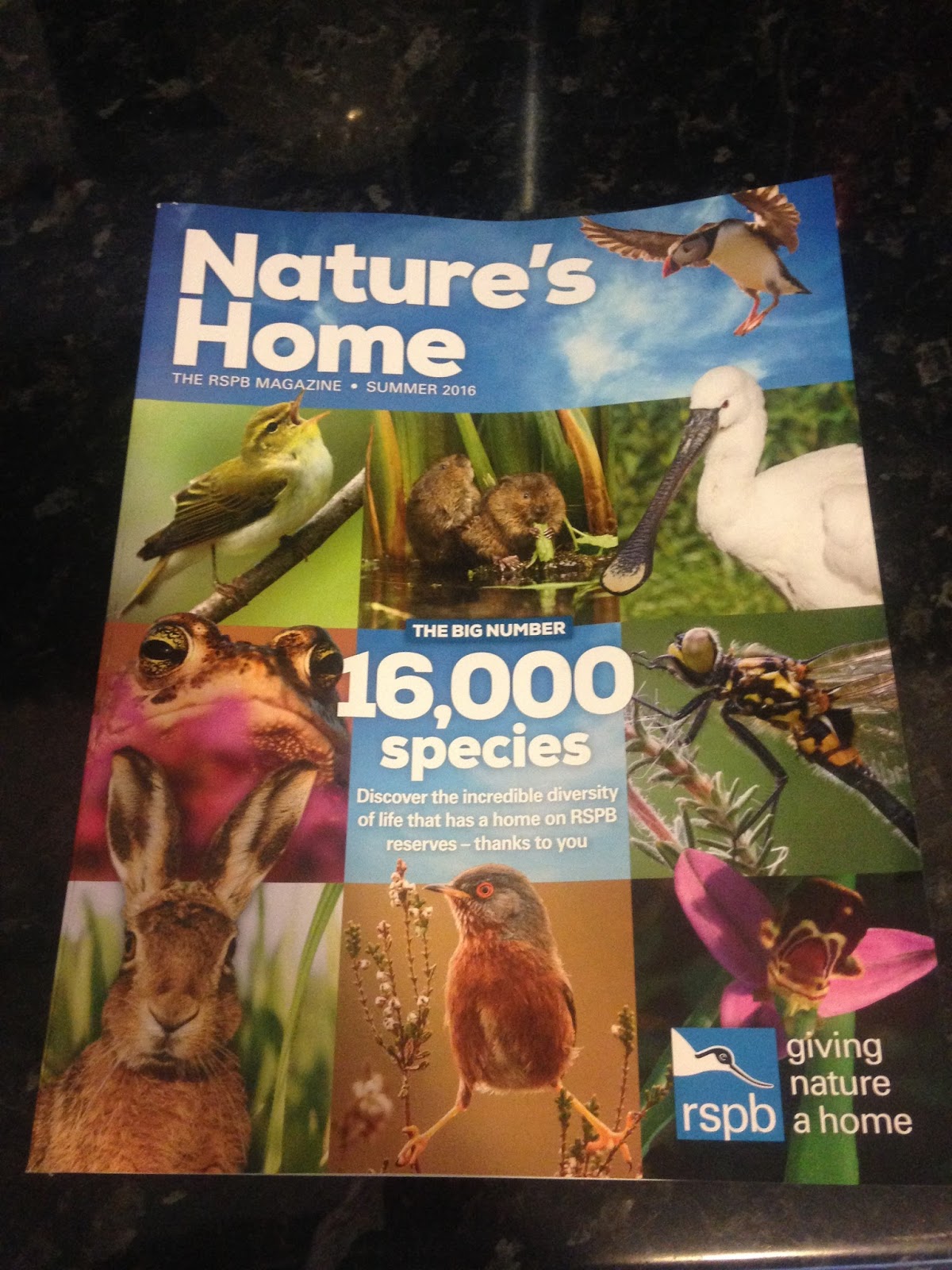 Life With The Speeds: RSPB