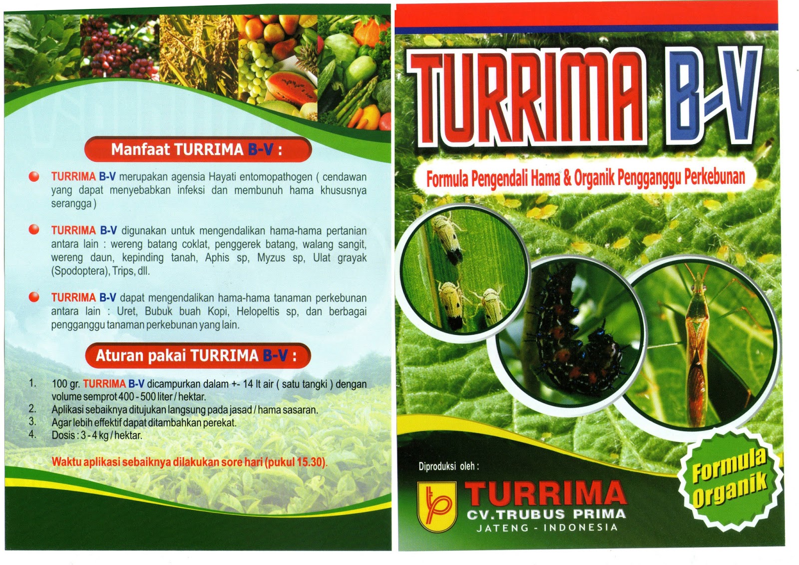 PT. TURRIMA AGRO MASS