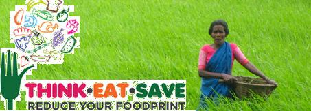 The (Triple) Bottom Lines