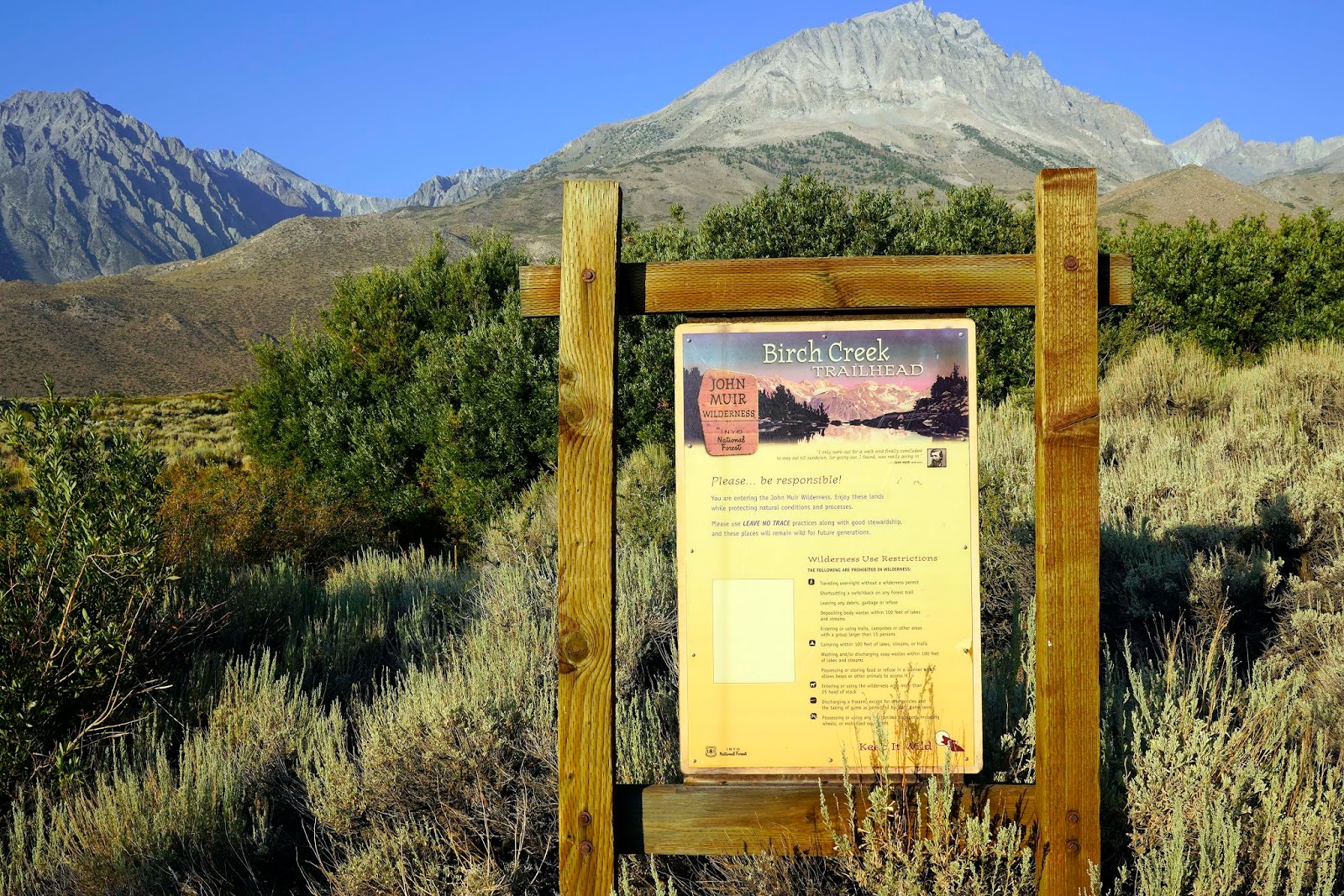 Mid Sierra Musings: The Birch Lake Trail On And Off