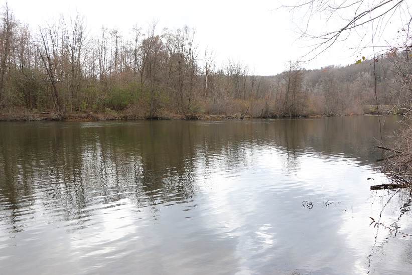 Michigan Exposures: Wandering on Huron River Drive