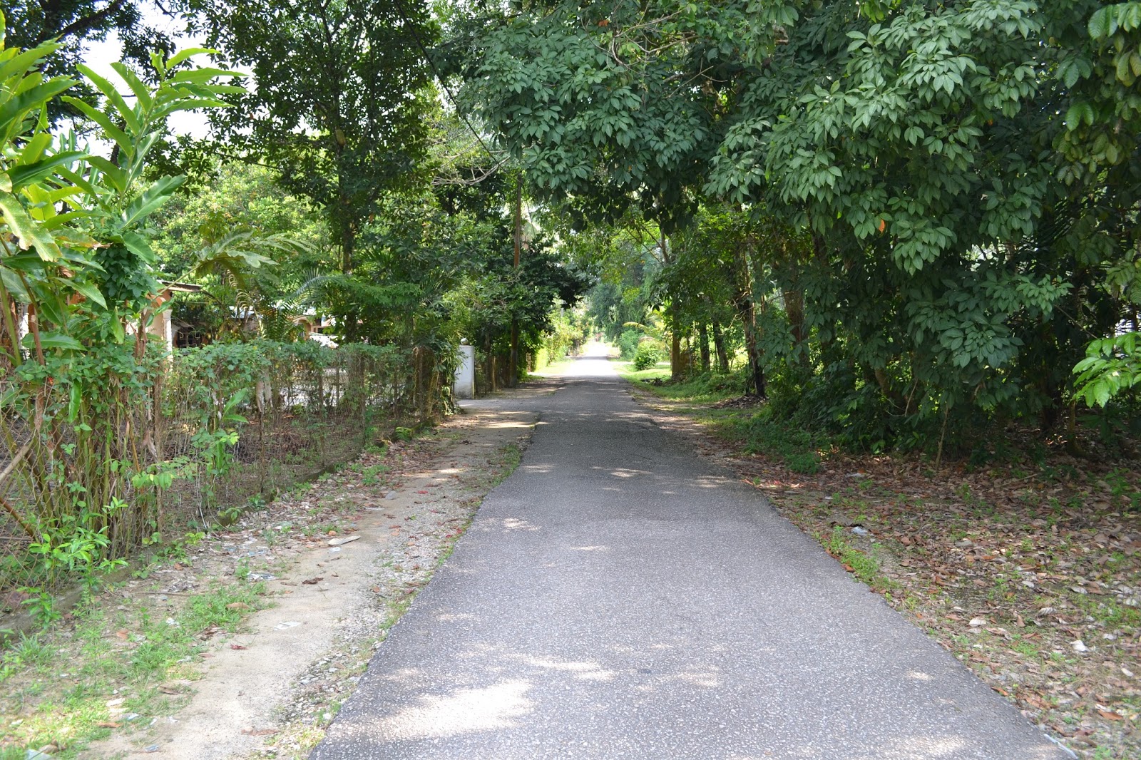 PRISTINE POINT: Budak Kampong: The West Side of Kg Chekok Tok Kerawat