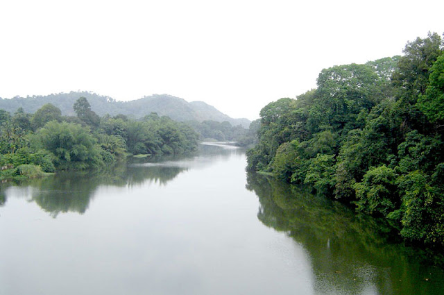 Periyar river in Kerala - aalmaramspot
