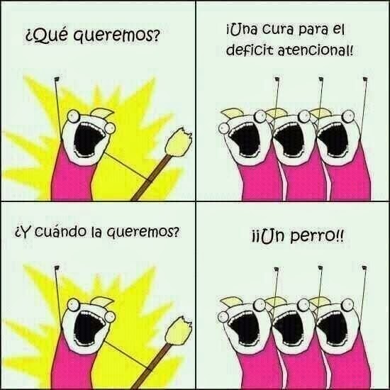 Los mejores memes de: Que queremos? ~ Matando el tiempo.