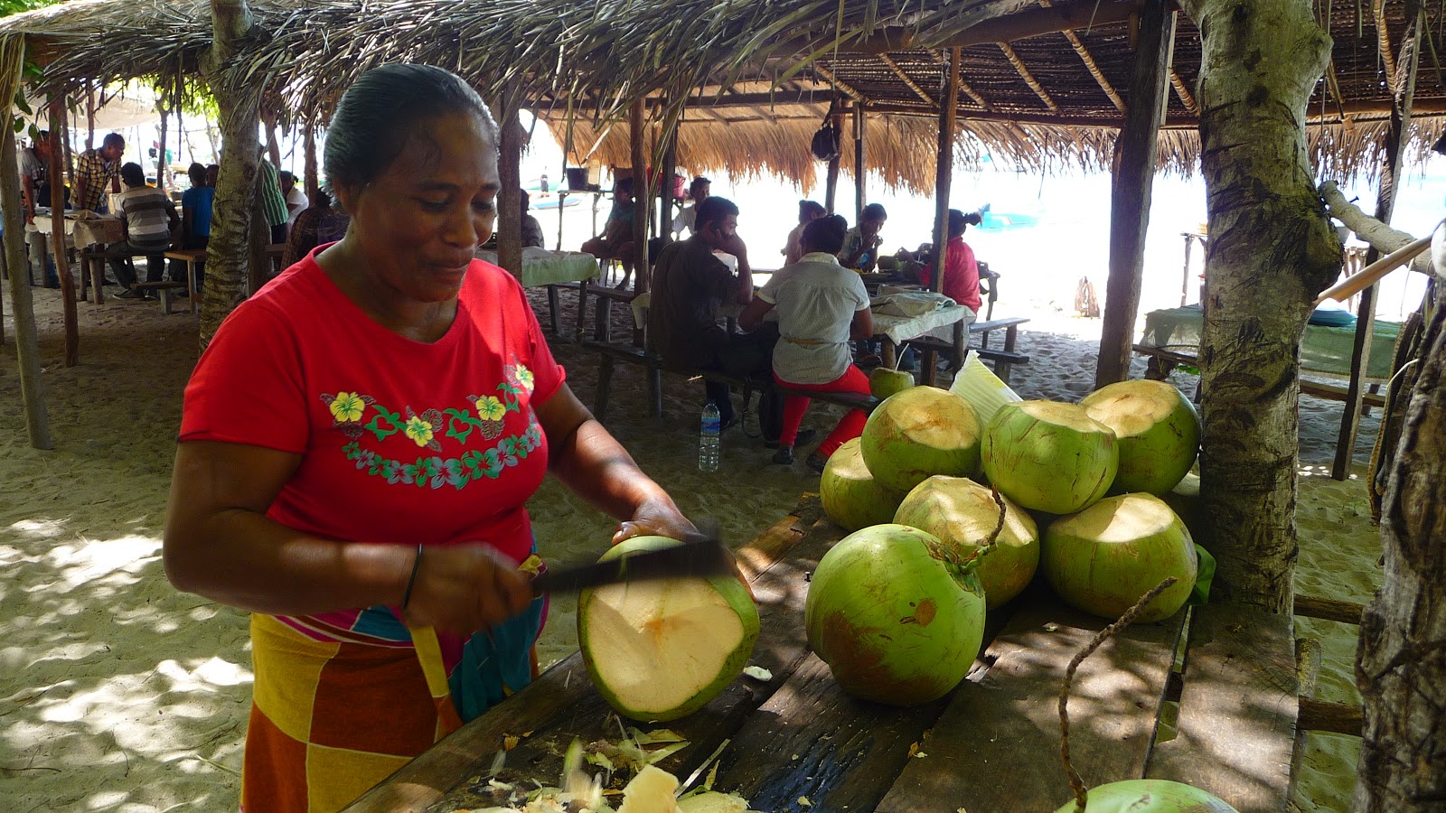 Dean in Dili: Adventures in East Timor: Atauro Island