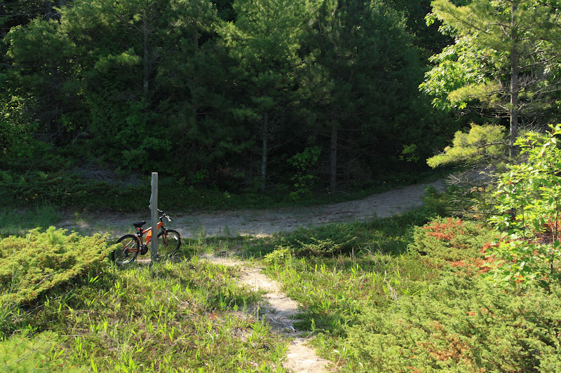 Nomadic Newfies: Point Beach State Forest
