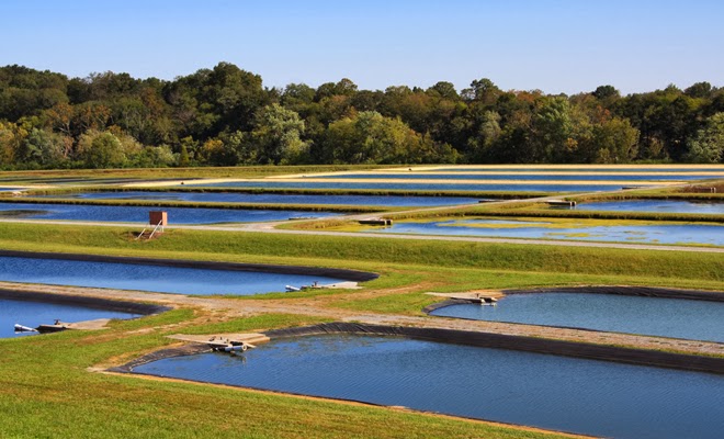 A A S TANZANIA LTD: AINA ZA MABWAWA YA KUFUGIA SAMAKI