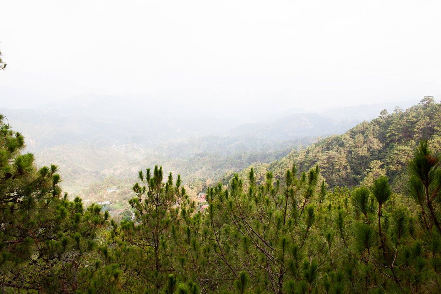 Tree Top Adventure Baguio- Unleash The Adrenaline Junkie In You - The ...