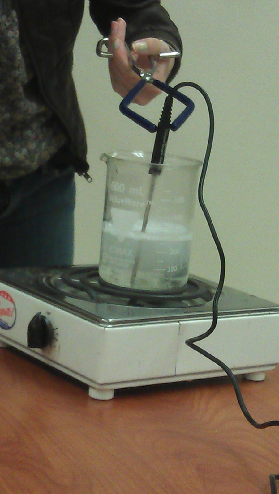 Chemistry Blog: Chemical Reactions and Heat Lab
