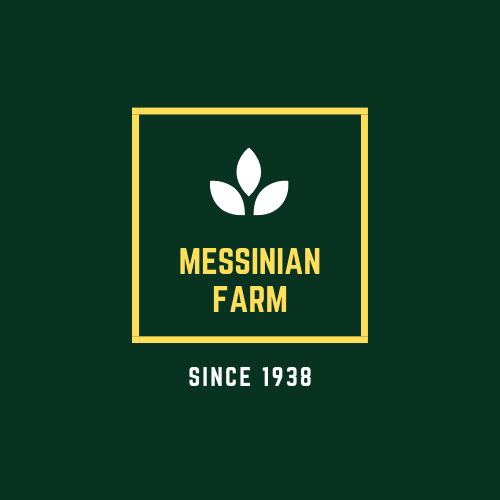 MESSINIAN FARM: ΕΠΙΚΟΙΝΩΝΙΑ