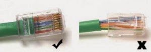 Cara Crimping Kabel UTP