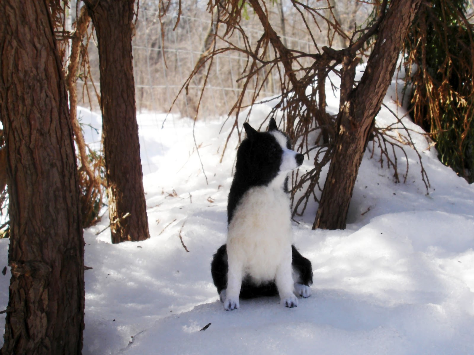 All Dogs: Alaskan Malamute